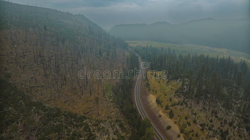 Route 120/26 stock photo. Image of tree, places, orange - 347871158