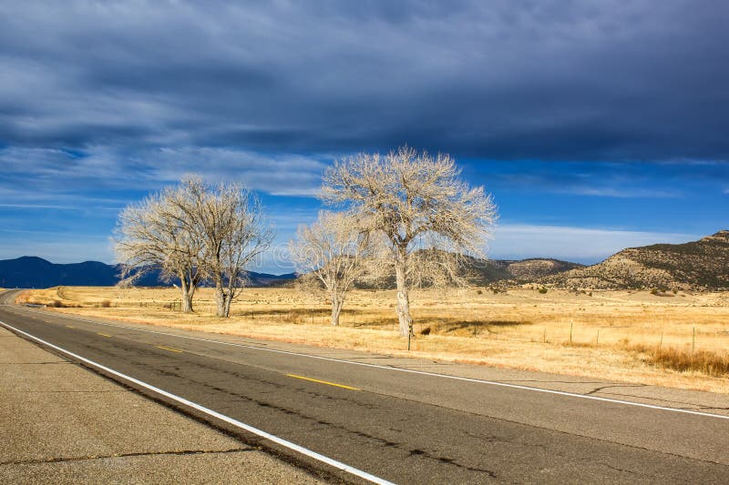Route pavée photo stock. Image du barrière, arbres, voies - 38767428