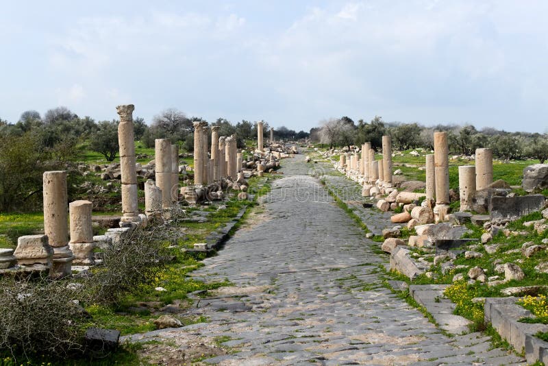 Route Romaine D'Umm Qais En Jordanie Image stock - Image du jordan ...