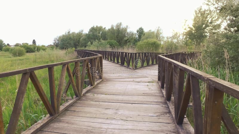 The Route with Two Pathways in Nature, Made from Wooden Boards. Stock ...