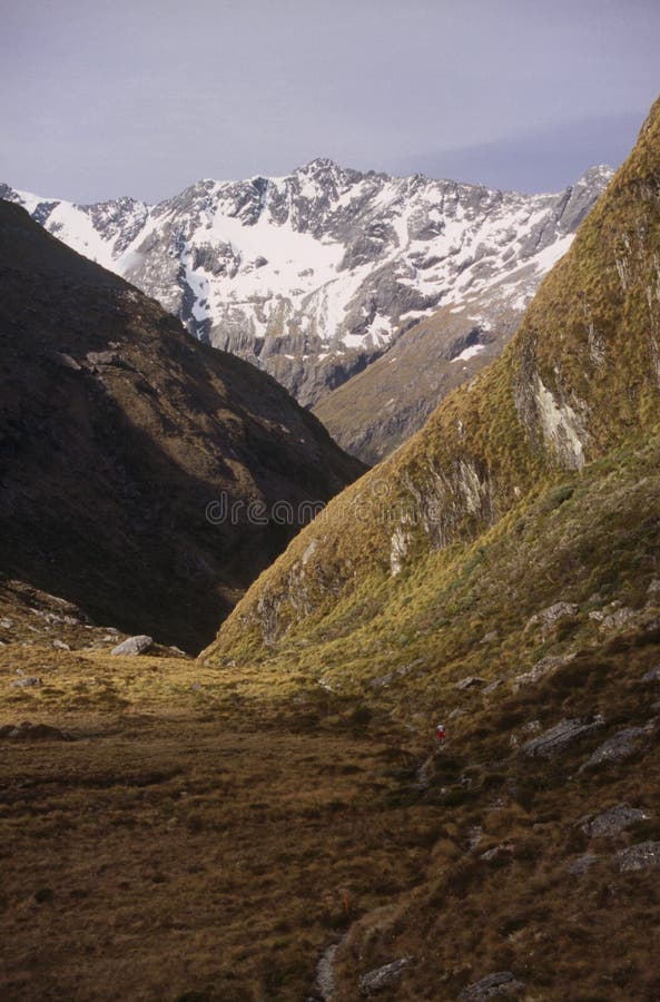 Routeburn Track, New Zealand Stock Photo - Image of fiordland, climb ...