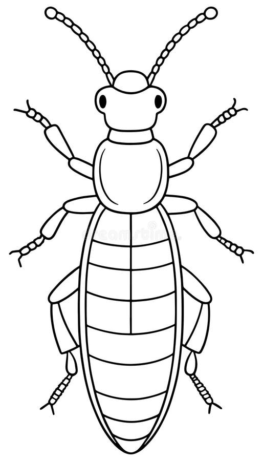 Rove Beetle Insect Coloring Fun for Toddlers Stock Vector ...