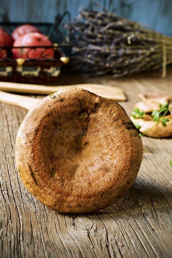 Rovello, Typical Autumn Mushroom of Spain Stock Photo - Image of ...