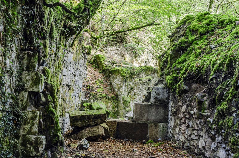 Rovine nella foresta fotografia stock. Immagine di rovine - 39368700