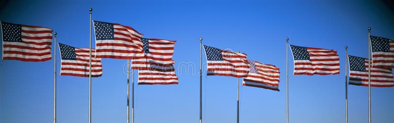 Row of American flags stock photo. Image of windy, blow - 23162352