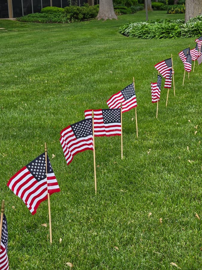 Row of American Flags in a Green Yard Stock Photo - Image of icon ...