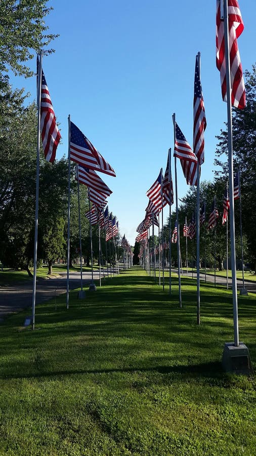 A row of American Flags editorial stock image. Image of white - 117596164