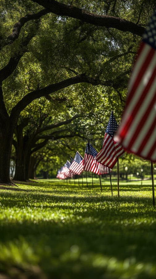 Row of American Flags in a Public Park Stock Image - Image of scenery ...