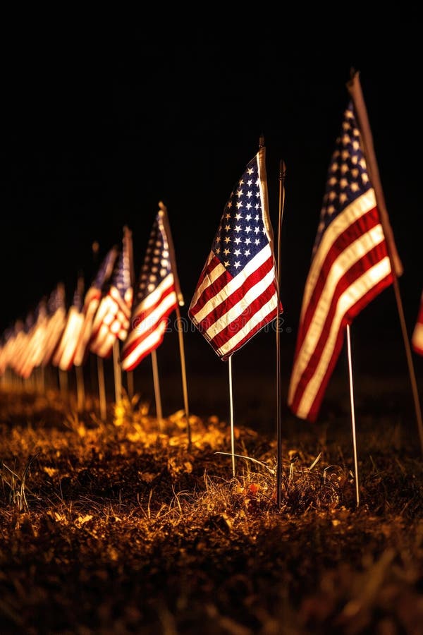 A Row of American Flags Standing Tall in a Green Field Stock Photo ...