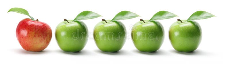 Row of Apples stock image. Image of food, apples, fresh - 20818945