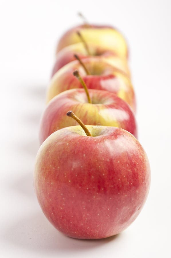 A row of apples stock photo. Image of appetite, meal - 25419148