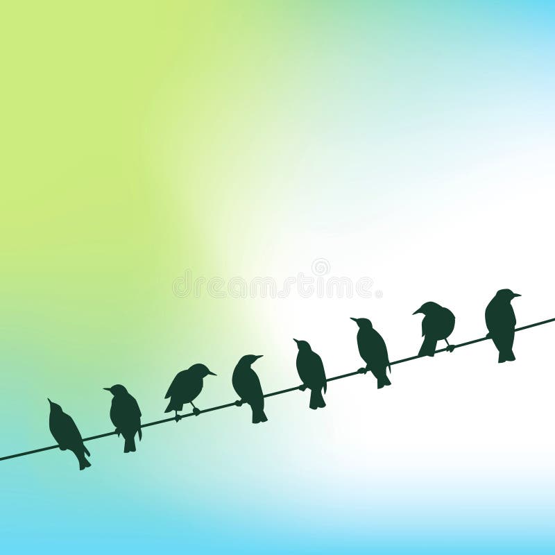 Birds in Pure Black and White Stock Illustration - Illustration of ...