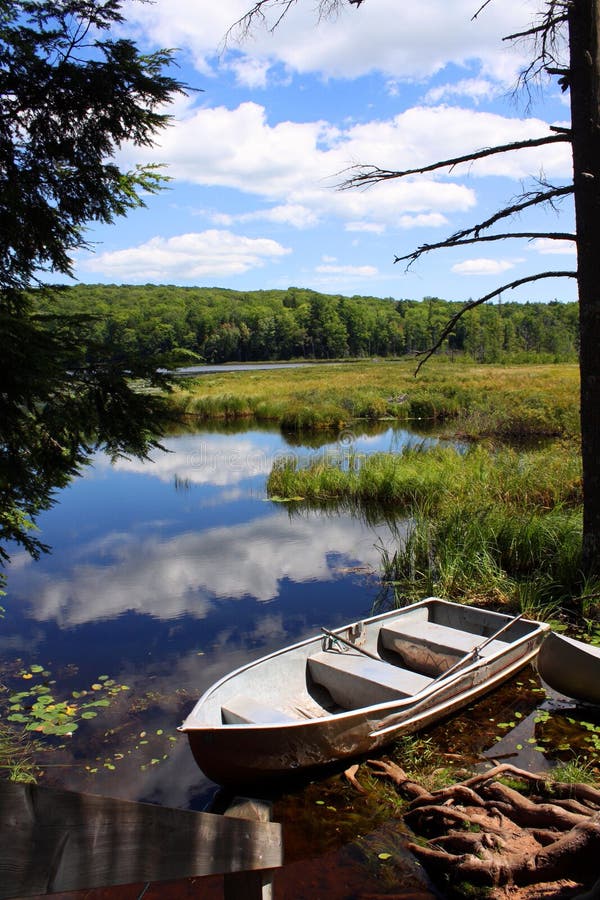 Row boat stock image. Image of boat, summer, gold, rowing - 34152277