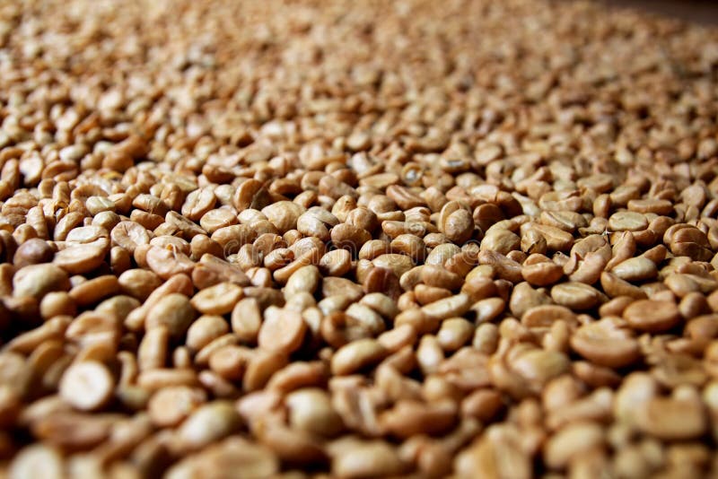 Boffee Stock Photos - Free & Royalty-Free Stock Photos from Dreamstime