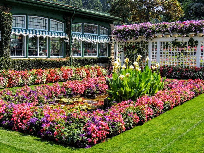 Row Box of Flowers in Grass by Building Stock Photo - Image of bedding ...