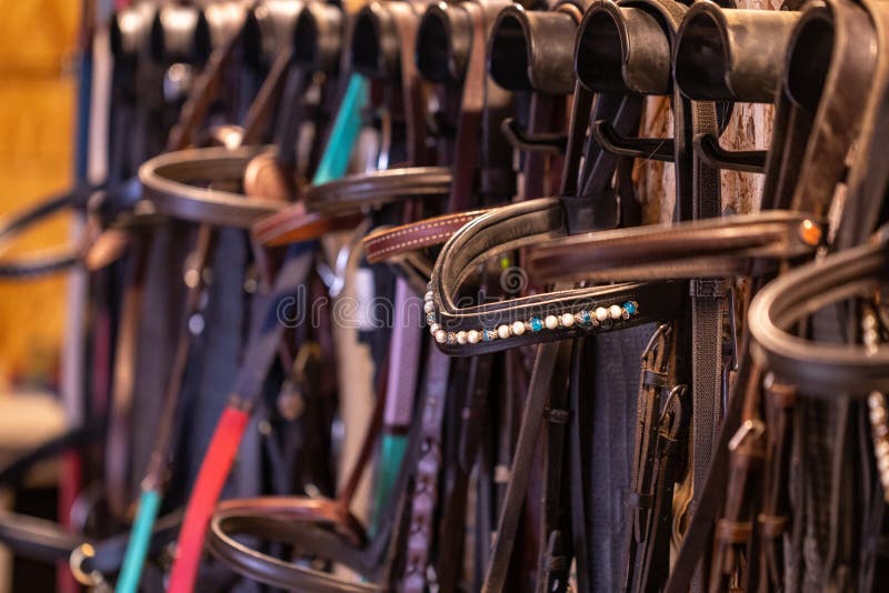 Row of Bridles in a Tack Room on a Horse Riding Farm Stock Photo ...