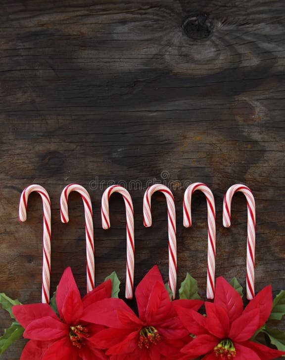 Row of Candy Canes on Wood Background Stock Photo - Image of flowers ...