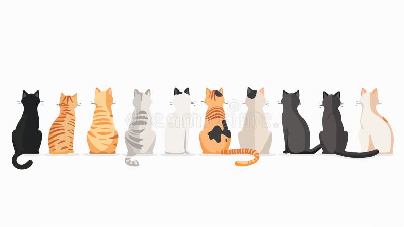 Diverse Row of Cats Showing Front and Back Poses for Animal Lovers ...