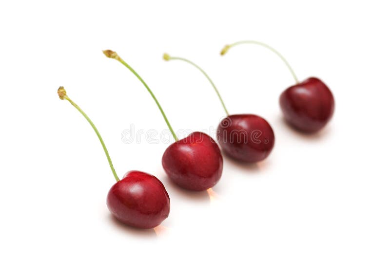Row of cherries isolated stock image. Image of berry, pear - 6004953