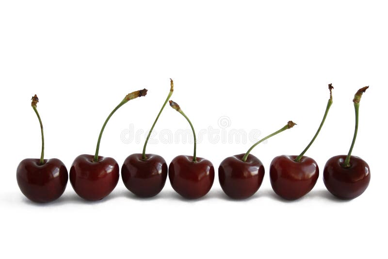 Row of Cherries on White Background Stock Photo - Image of freshcut ...