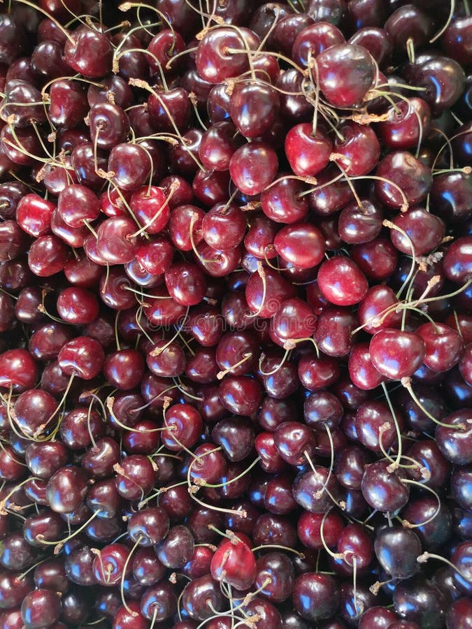 Fruit display stock photo. Image of produce, food, pear - 747270