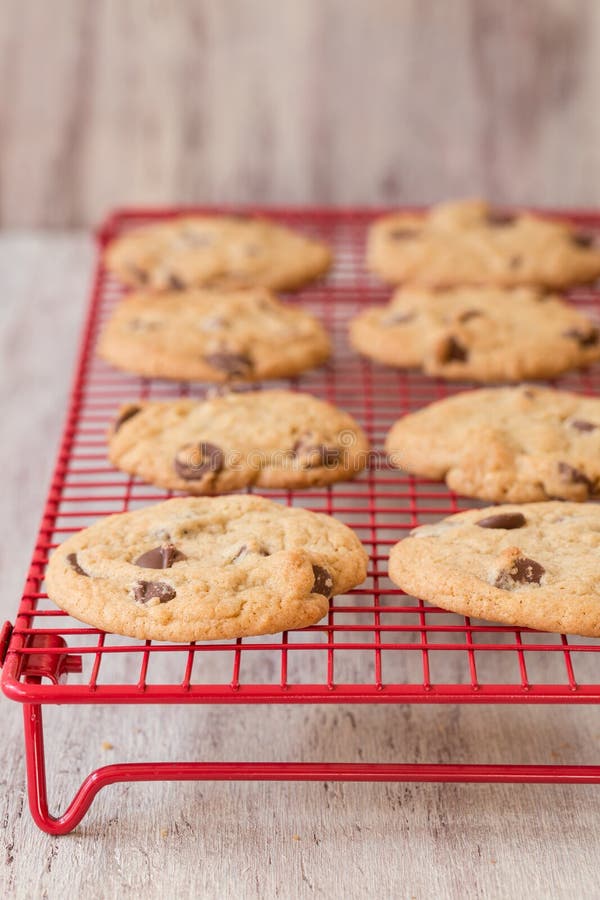 Row of Chocolate Chip Cookies on Cooling Rack Stock Image - Image of ...