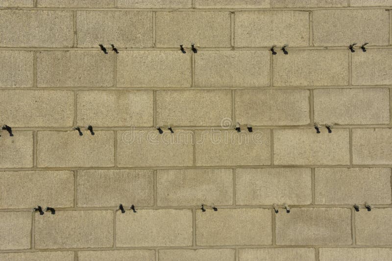 Row of Concrete Blocks in New Wall. Stock Photo - Image of building ...