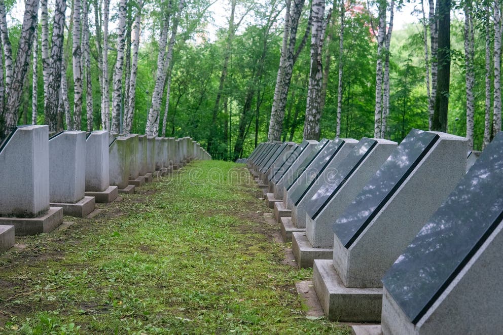 A Row of Concrete Gravestones in a Birch Grove in Spring Stock Image ...