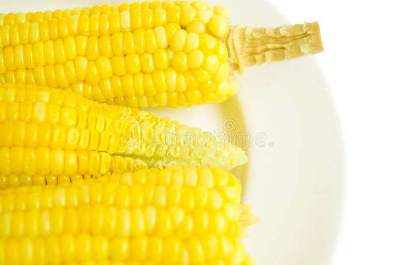 Row of corn stock photo. Image of dish, grain, plate - 56218516