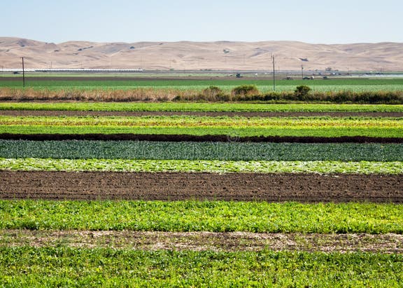 Row Crops stock image. Image of striped, layers, foothills - 26515447