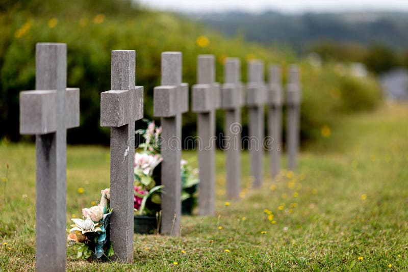 Row of Cross in the Cemetery Stock Photo - Image of flower, cross ...