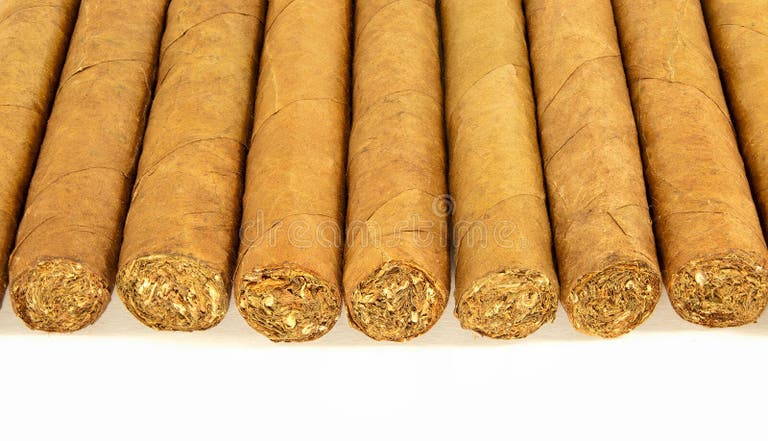 Row of cuban cigars stock image. Image of caribbean, claro - 18354357