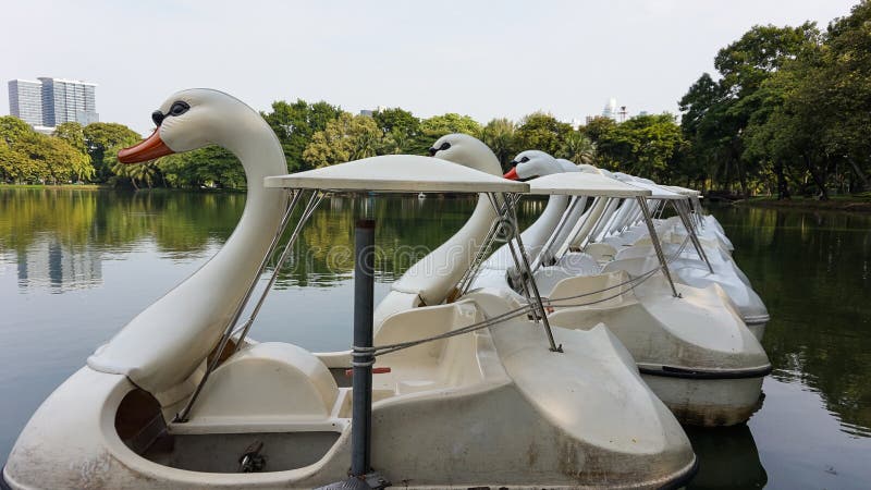 Row of Cycle Boats on Water at the Public Lumpini Park Stock Photo ...