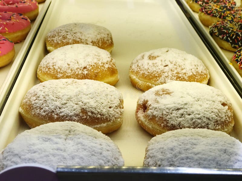A Row of Donuts with Icing Sugar on Display at a Bakery Stock Photo ...