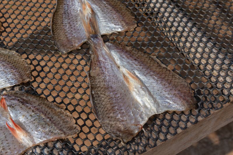 Dried Salt Fish on Sunny Day at Thailand Stock Photo - Image of ...
