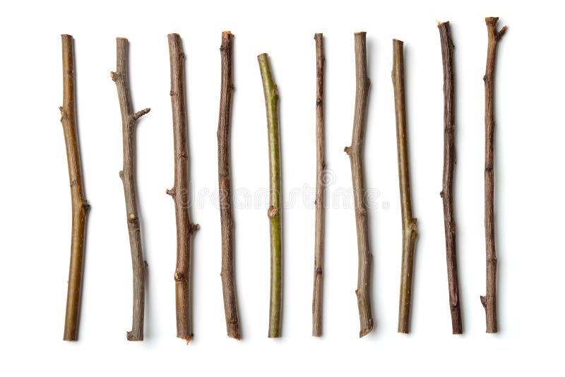 Row of dry wooden twigs stock photo. Image of background - 78940482