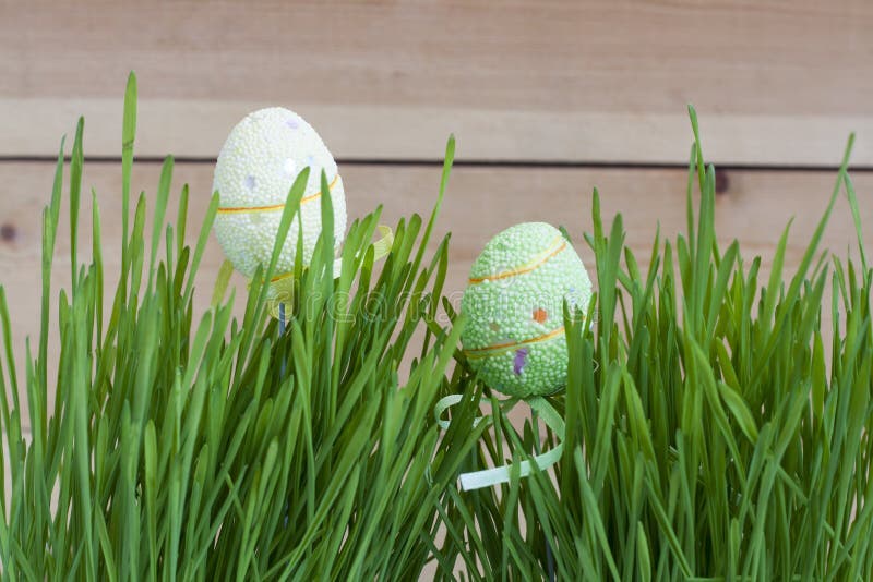 Row of Easter Eggs in Fresh Green Grass Stock Photo - Image of five, spring: 66586616