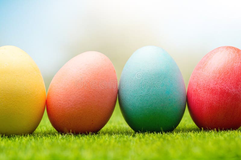 A Row of Easter Eggs in the Fresh Green Grass in the Garden Stock Photo ...
