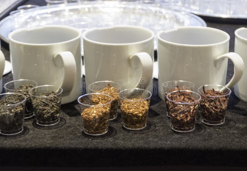 Row of Empty White Cups and Some Small Bowls of Tea on the Tea Tasting ...