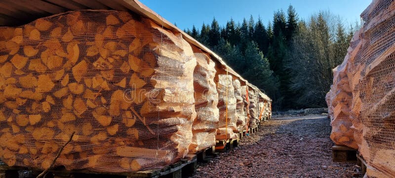 Row of Firewood Stacked on Pallets in Evening Sun Editorial Stock Photo ...