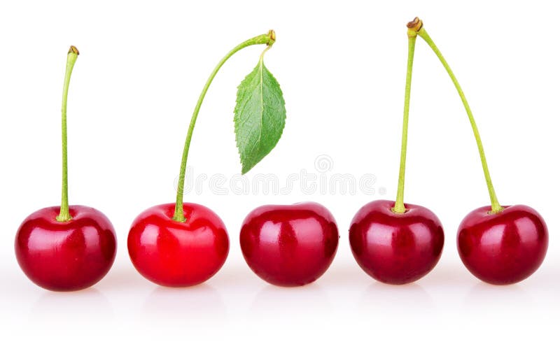 Five cherries stock photo. Image of five, healthy, fruit - 967128