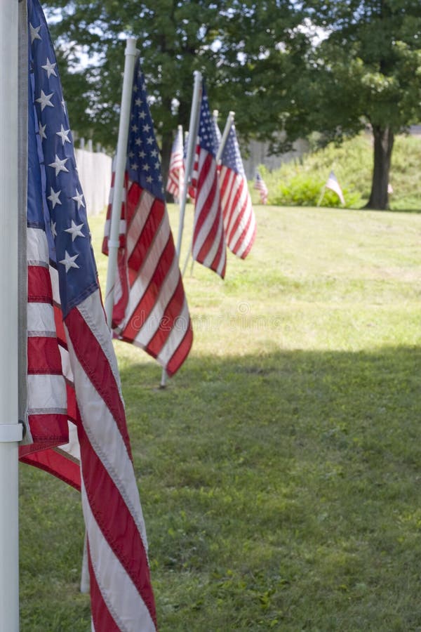 Row of Flags stock photo. Image of patriotic, american - 6061128