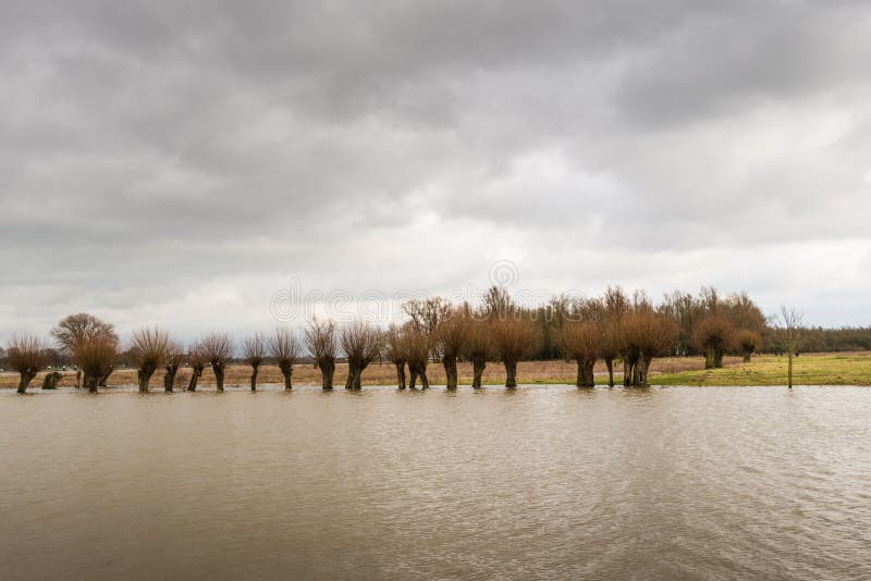 163 Willows Storm Stock Photos - Free & Royalty-Free Stock Photos from ...