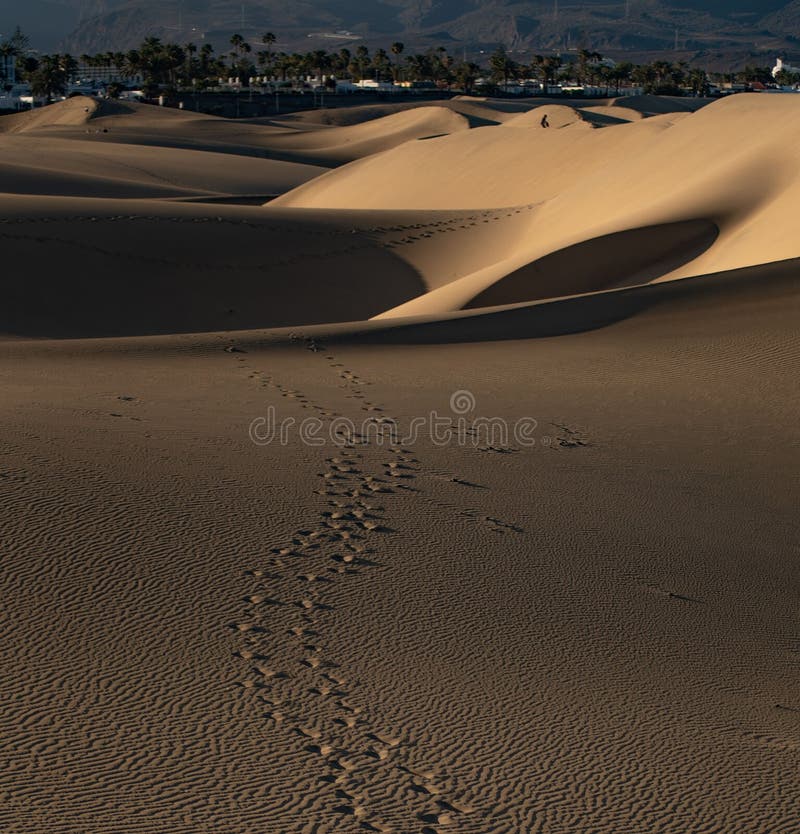 Row of Footprints on the Sandy Desert and a Majestic Mountain Range in ...