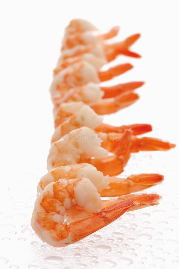 Fresh Gambas at the Fish Monger Stock Image - Image of fresh, bulk ...