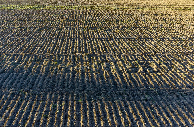 Row of Furrows Running Parallel Across a Farmland Stock Image - Image ...