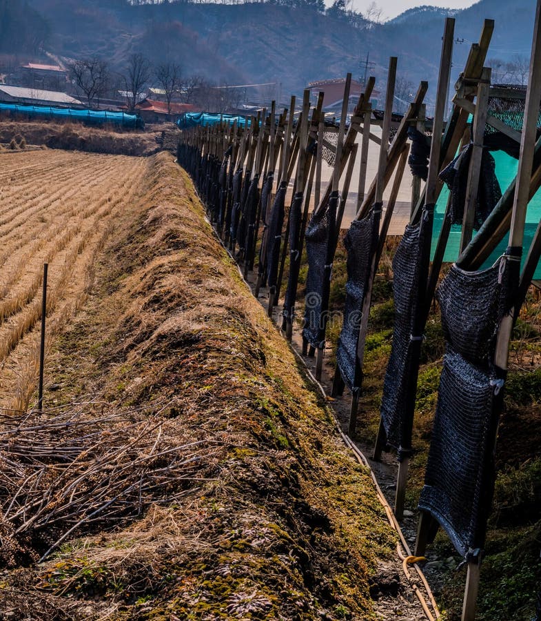 Korean Natural Farming System
