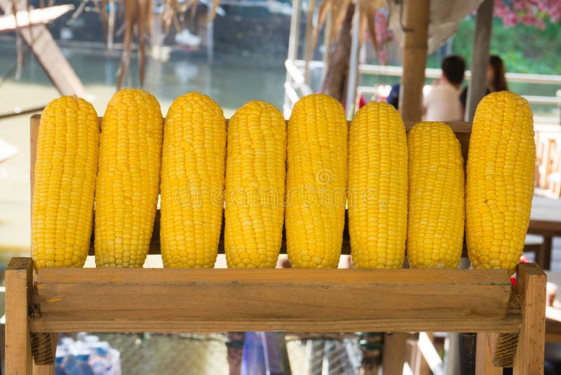 Row of golden corn stock photo. Image of wood, natural - 46224114