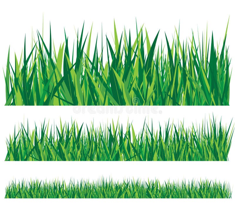 Row of grass stock vector. Illustration of natural, flora - 15216631