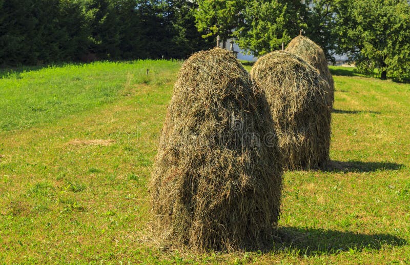 Haystacks stock photo. Image of farming, nature, beautiful - 240012740